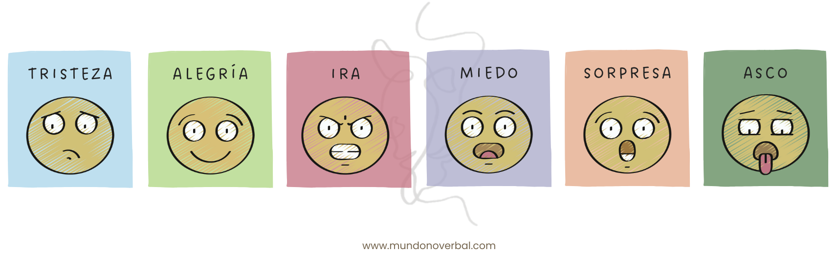 El desarrollo del reconocimiento facial de las emociones básicas en la ...